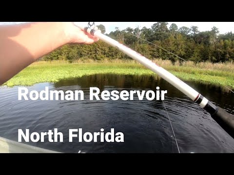 Rodman Reservoir in North Florida - YouTube