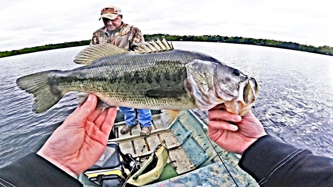 An EPIC day of PA BASS Fishing! Catching NICE Largemouth and Smallies ...