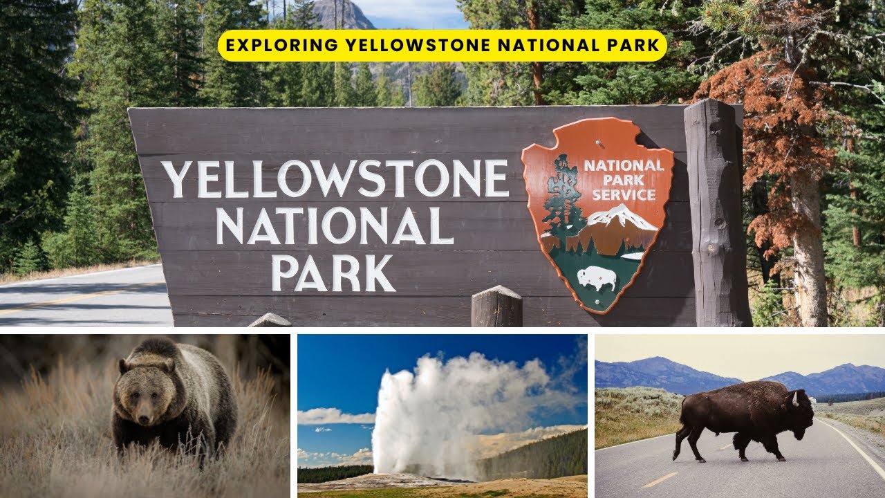 Exploring Yellowstone National Park: A Journey Through Nature's ...