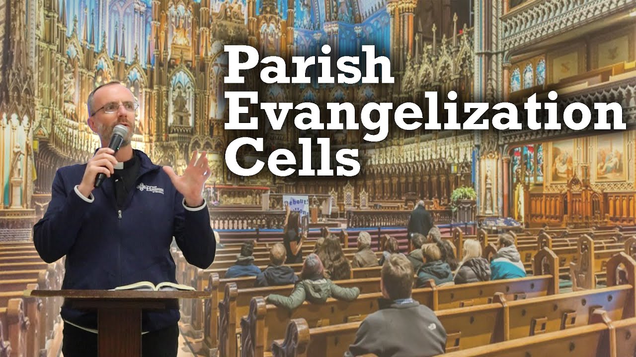 Parish Evangelization Cells: Faith Series talk #4 with Fr. Peter ...