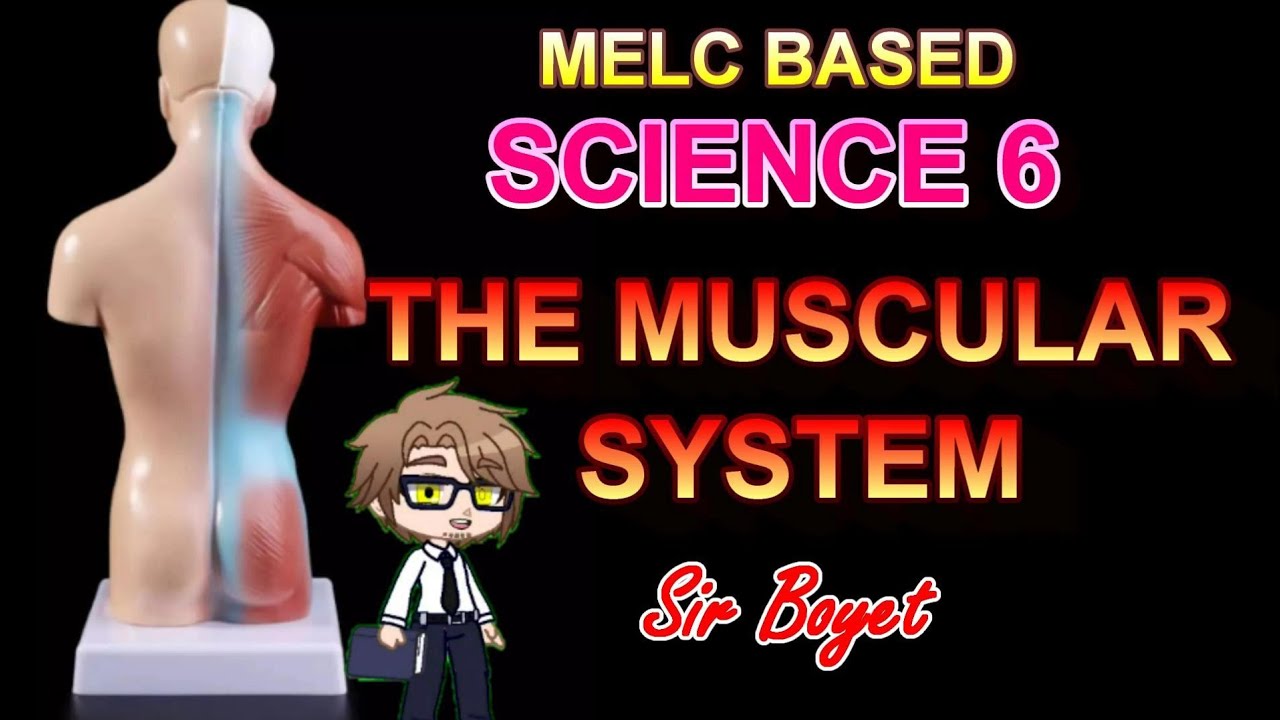 Science 6, Explain how the organs of each organ system work together ...