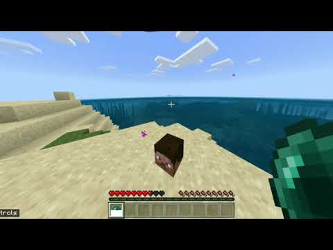 what's inside the minecraft steve head? #shorts