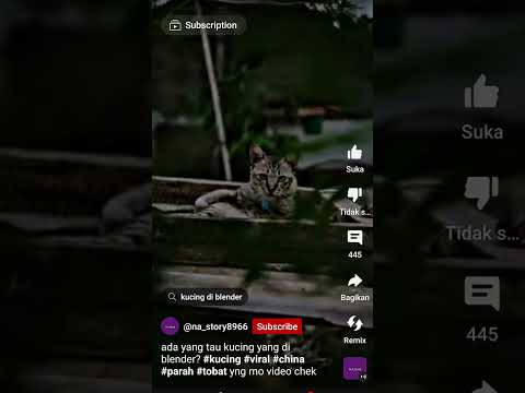 kucing di blender - YouTube