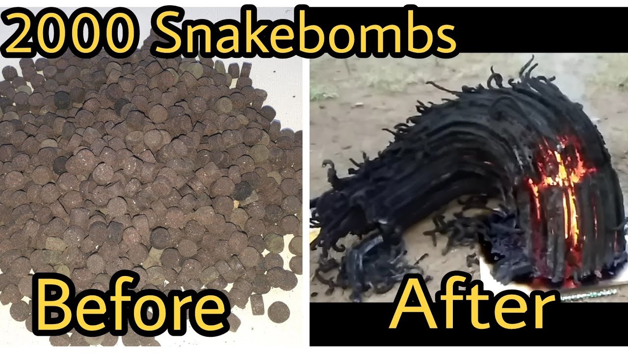2000 Black Snake FIREWORKS at once///2000 SNAKE BOMBS Burnt at Once ...