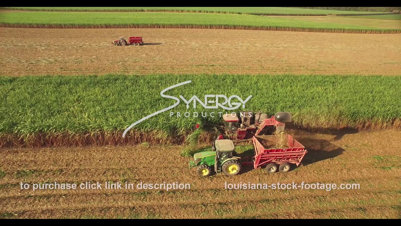 849 sugar cane harvesting aerial drone view stock footage video - YouTube