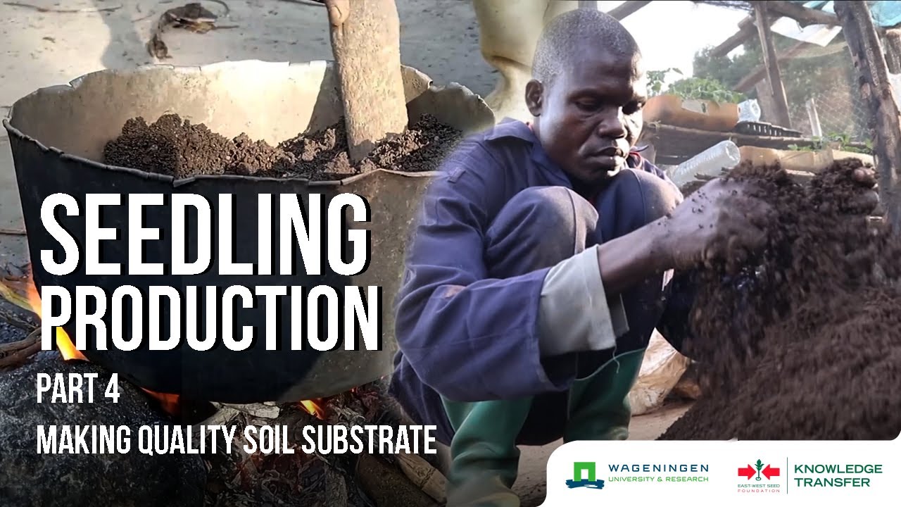 Seedling Production Part 4 – How to Create Quality Soil Substrate - YouTube