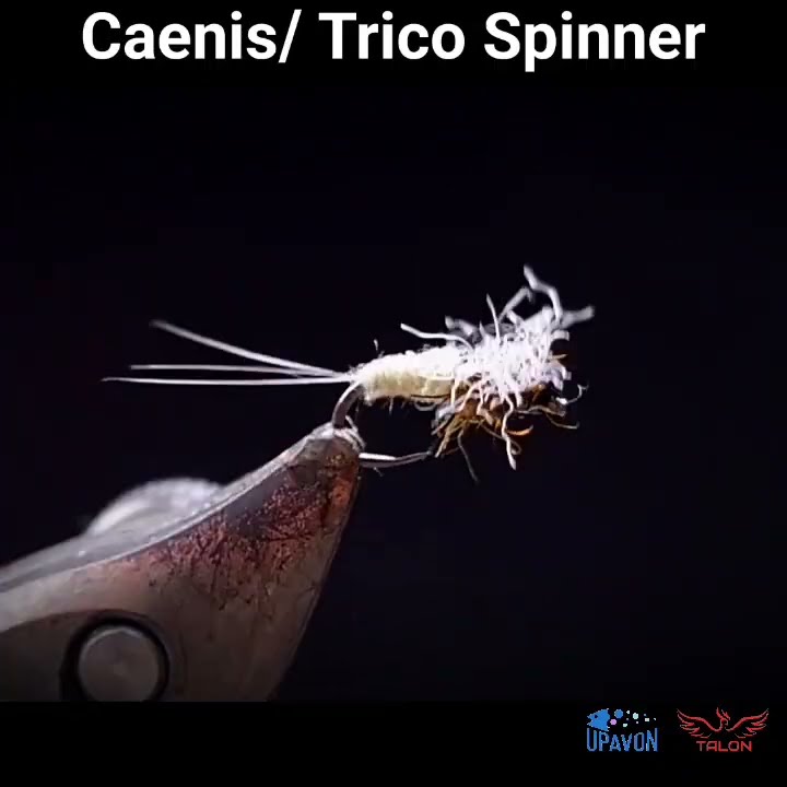 Fly tying - Poly winged Caenis / Trico spinner fly pattern #flyfishing ...
