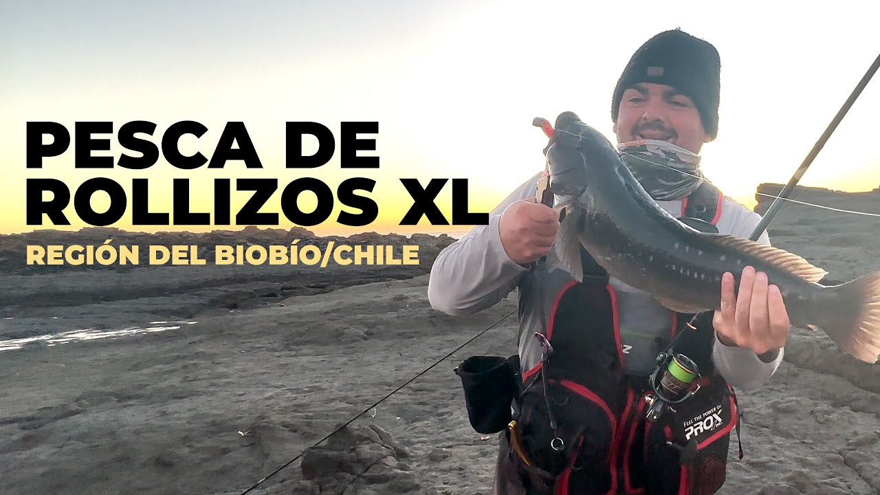 Pesca de Rollizos XL en la costa de la Región del Biobío. - YouTube
