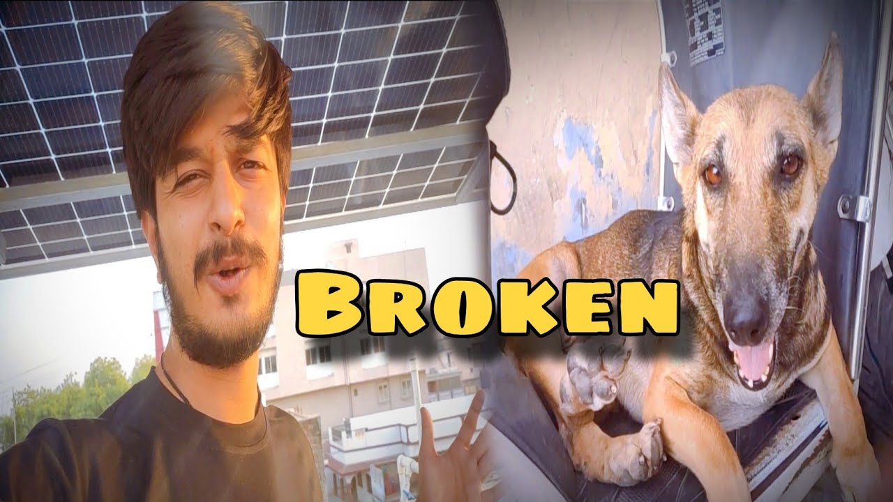 Dhebri Ka Dusra Dant Bhi Gira Diya 😭 - YouTube