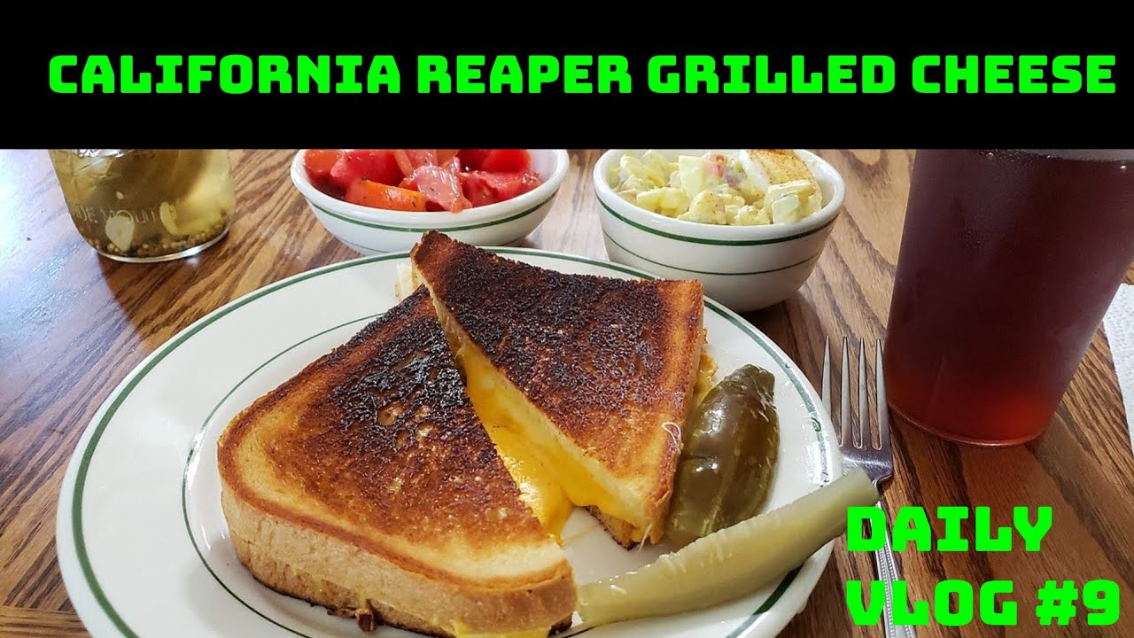 California Reaper Grilled Cheese (September 5 2024) - YouTube
