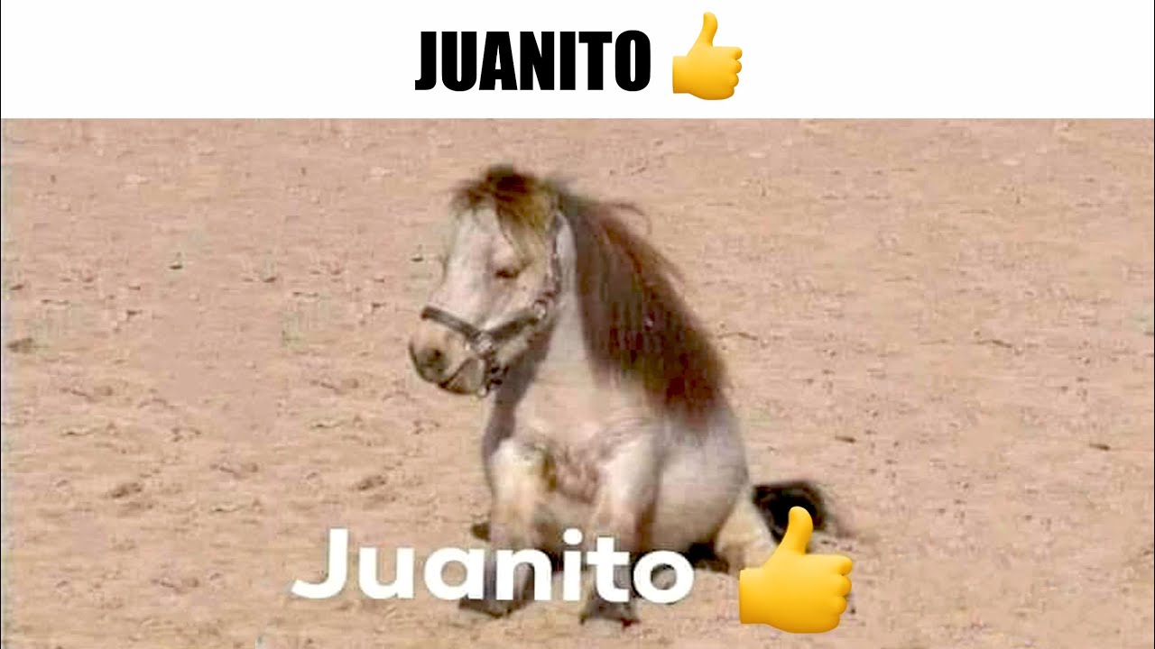 MEMES RANDOM #390 - YouTube