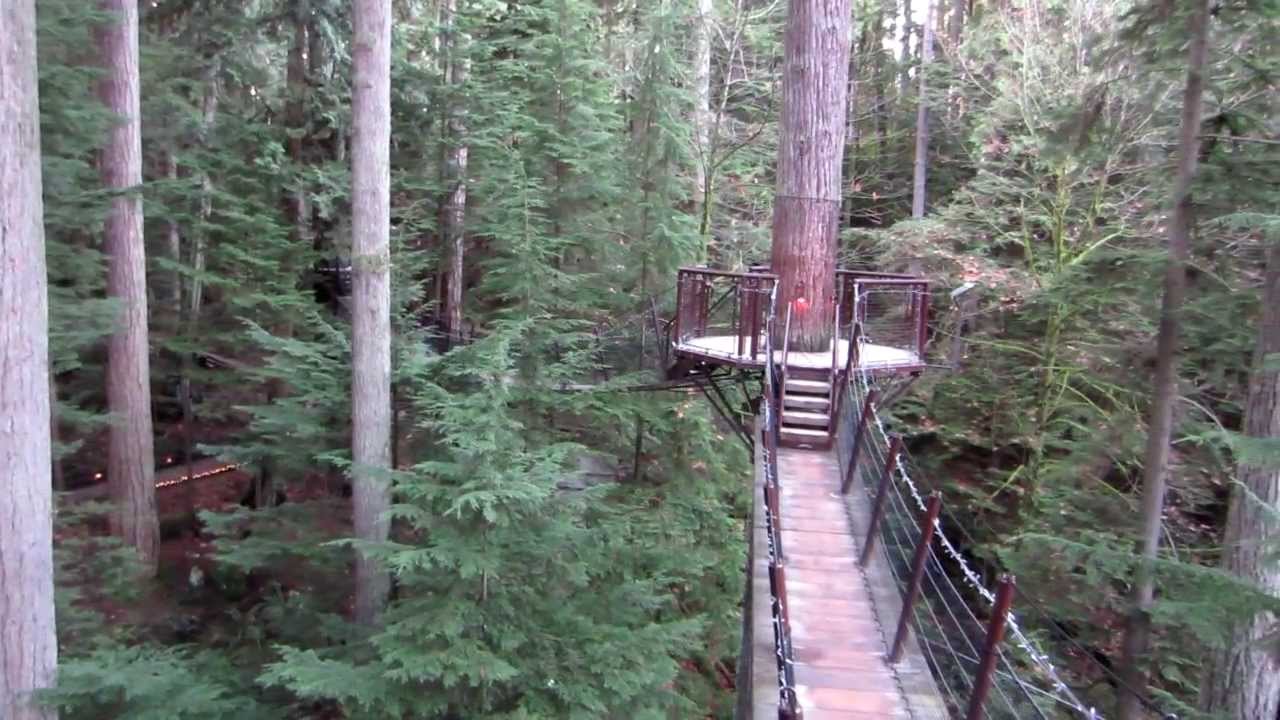 Treetops Adventure, Cliffwalk and Capilano Suspended Bridge Park - YouTube