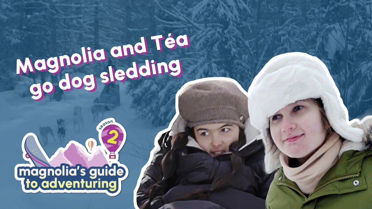 Magnolia’s Guide to Adventuring | Dog Sledding With the Bitton Family ...
