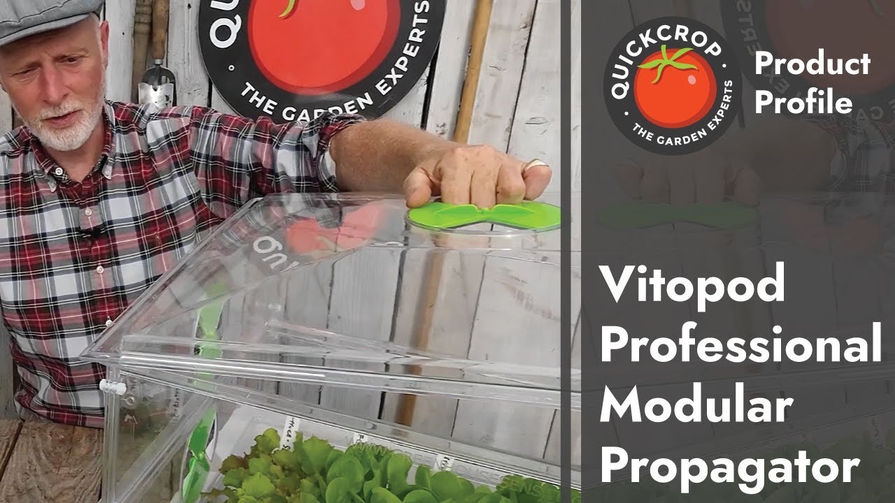 The Ultra Versatile Vitopod Propagator - YouTube