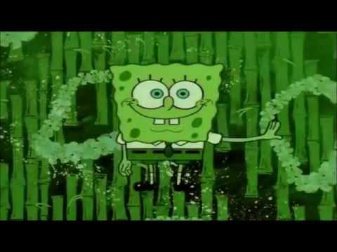 How could you possibly have fun with a jellyfish ?!