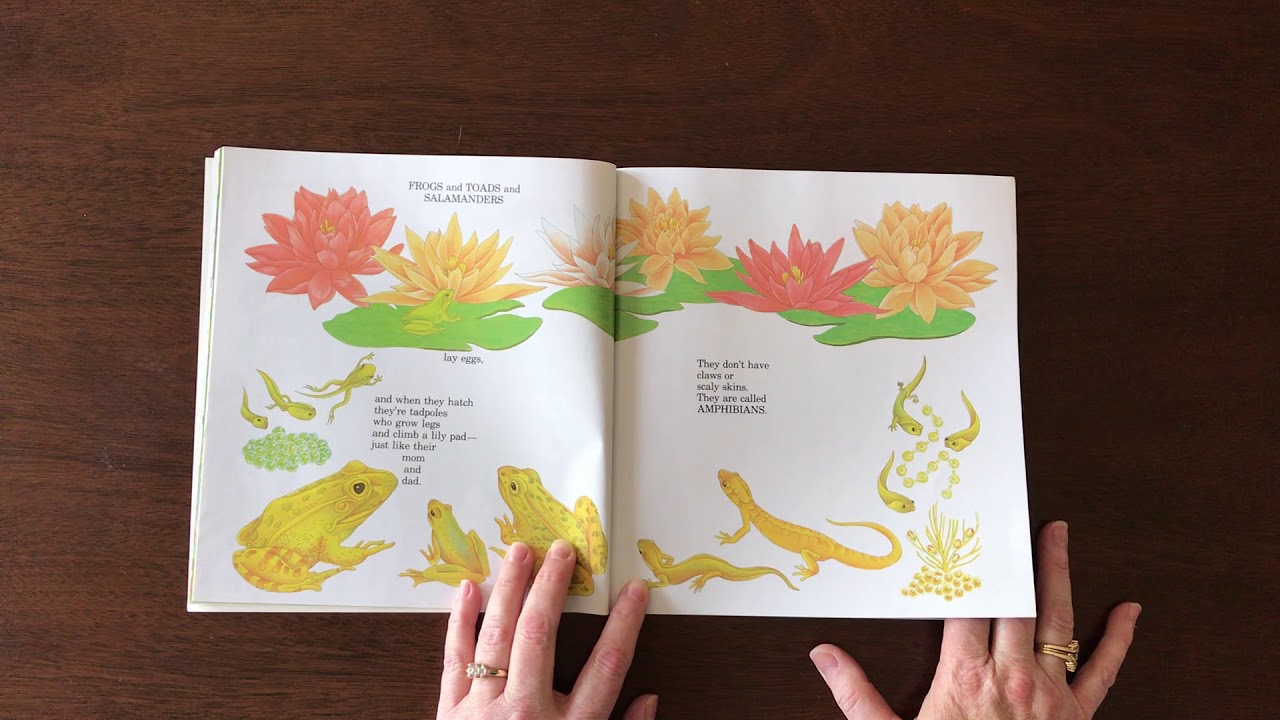 Read Aloud Chicken's Aren't the Only Ones - YouTube