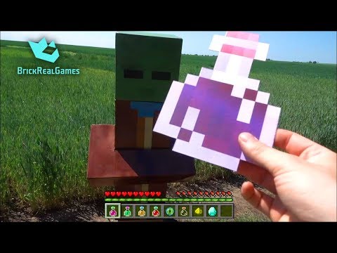 Realistic Minecraft in Real Life Zombie Villager vs Potion - IRL ...