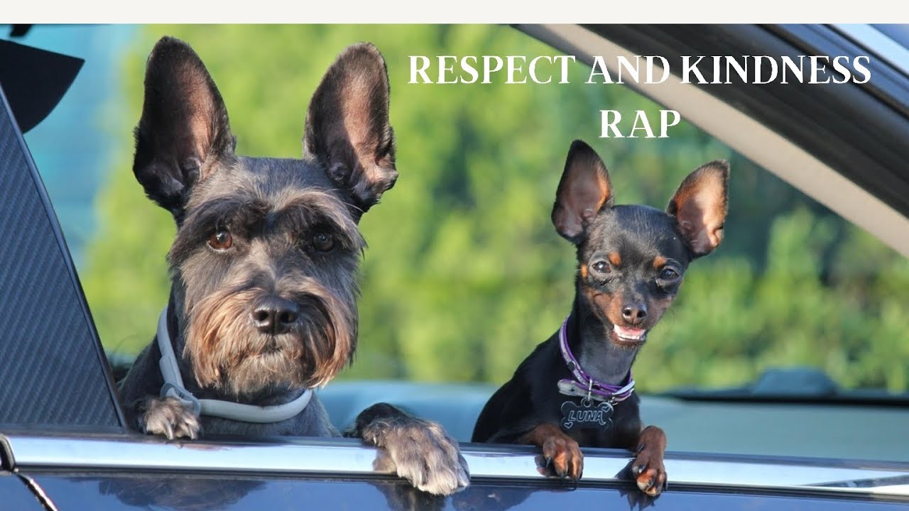 Respect and Kindness Rap for Kids | Fun & Educational Song for Preteens ...