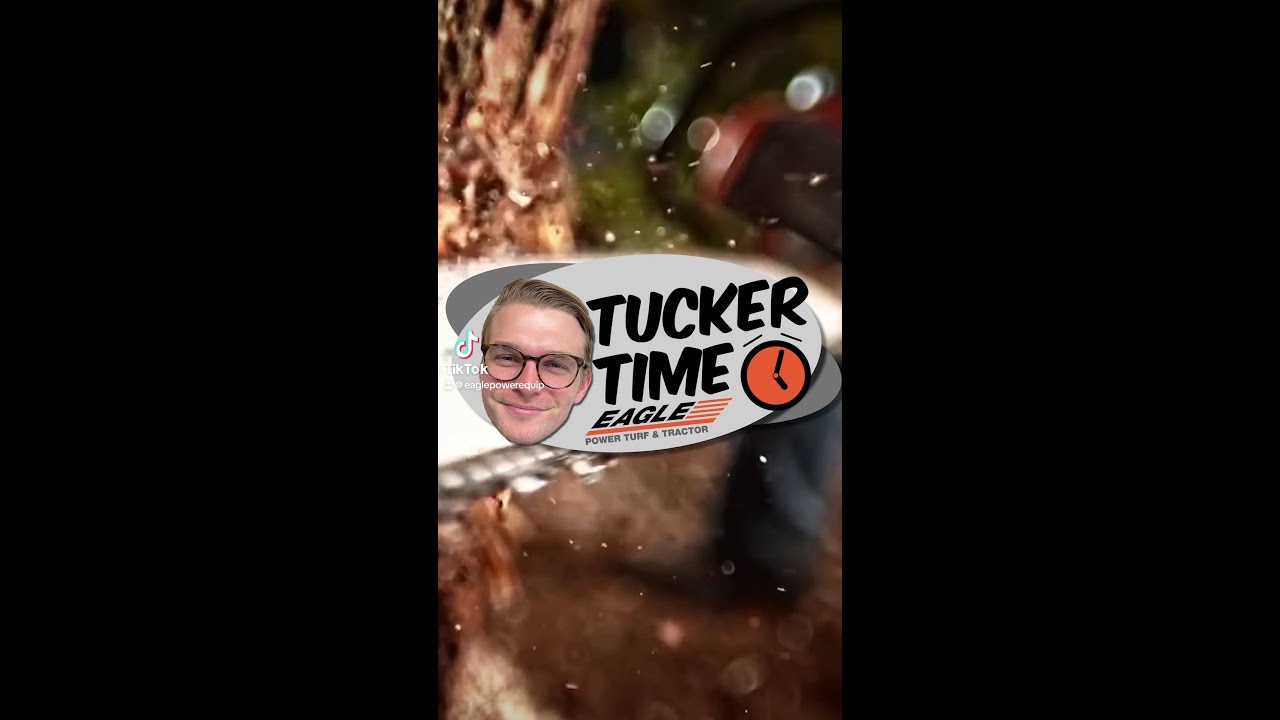 Tucker Time: Summertime Saws! - YouTube