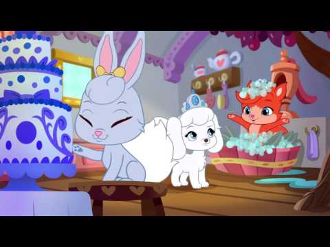 Sevimli Saraylılar Pati Diyarı - Rüya Gibi Bir Doğum Günü