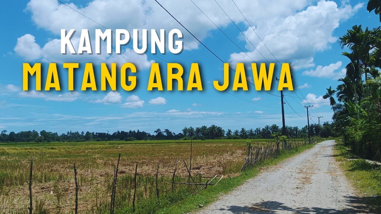Suasana Kampung Di Aceh, Kampung Matang Ara Jawa#suasanakampung # ...
