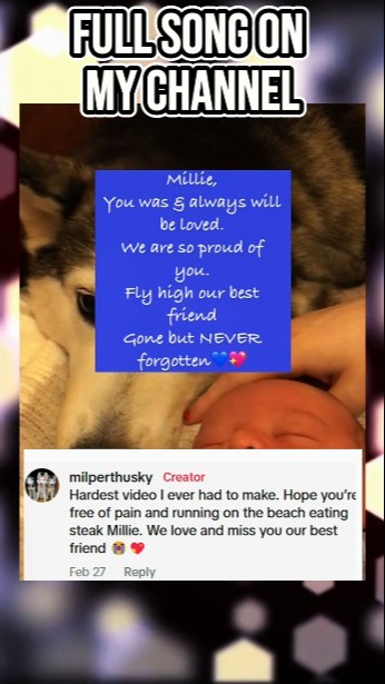 The Unbelievable Story of Millie's Guardian Angel - YouTube