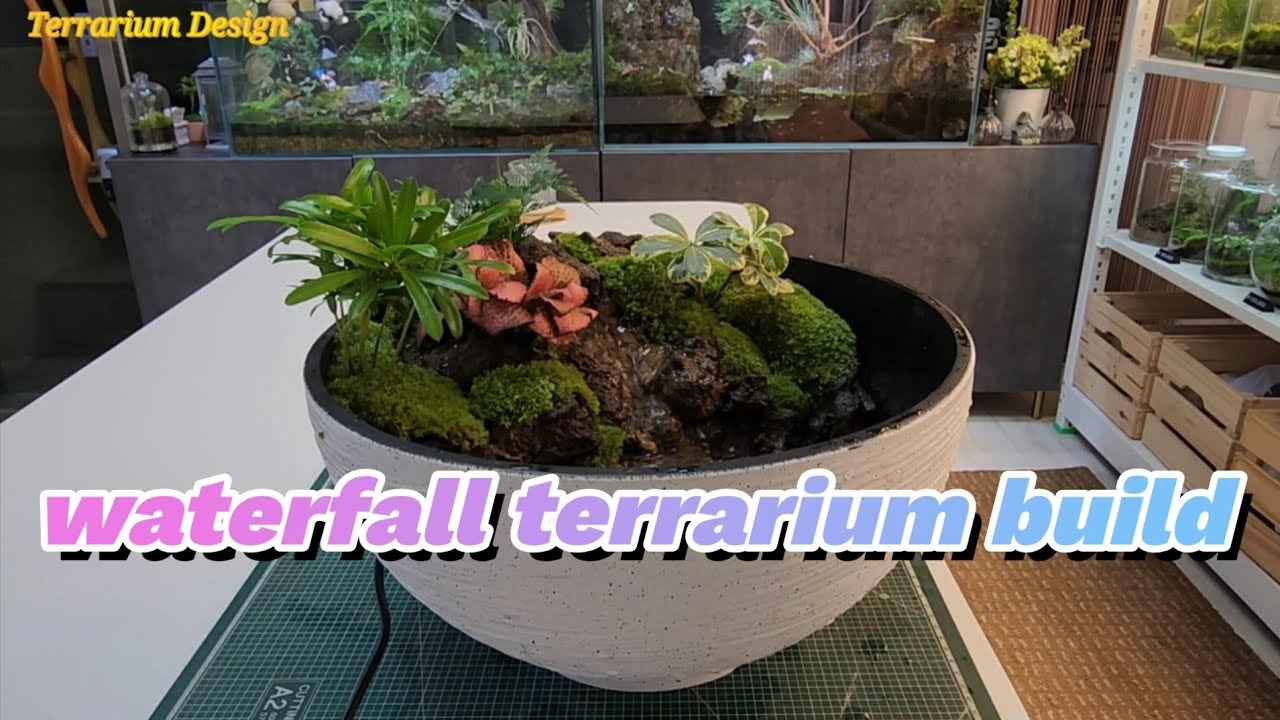 waterfall terrarium build #terrarium - YouTube