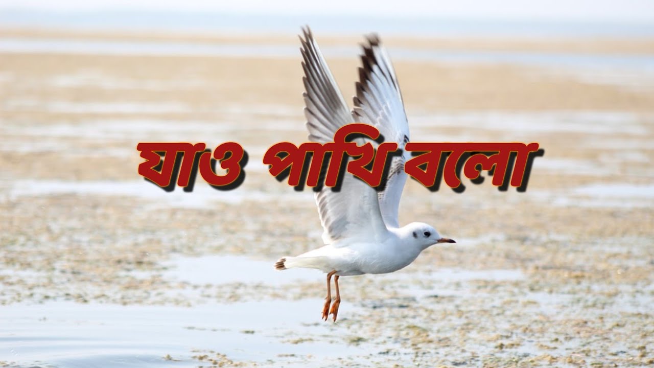 Jao Pakhi Bolo..Antahin(Bengali Movie) Singer-Shreya Ghosal# Female ...
