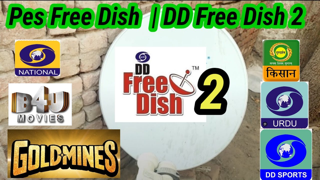 DD Free Dish 2/Pes Free Dish | Dish Shelter 2024 - YouTube