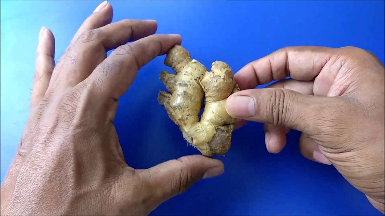 इरेक्टाइल डिस्फंक्शन का सर्वोत्तम उपाय | How to get rid of ED & PE ...