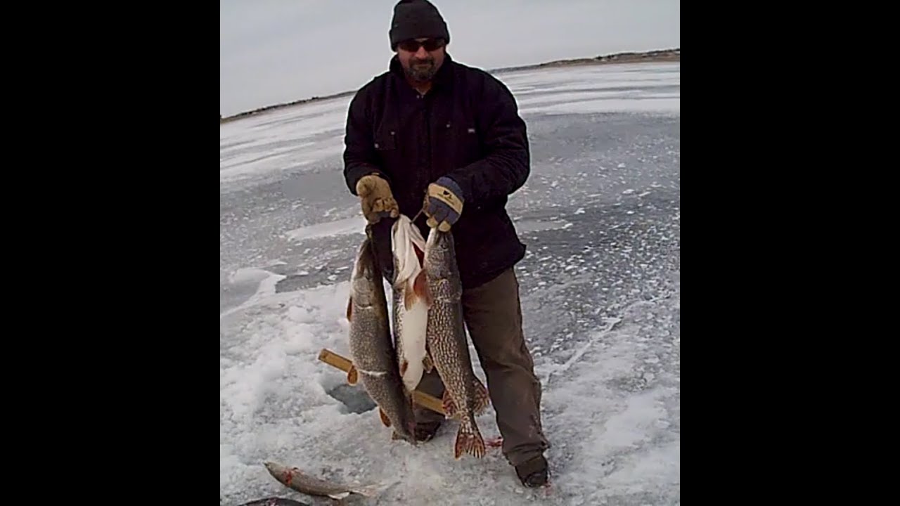 Shaky Shaft Addicts 1 4 2022 Mo Pike - YouTube