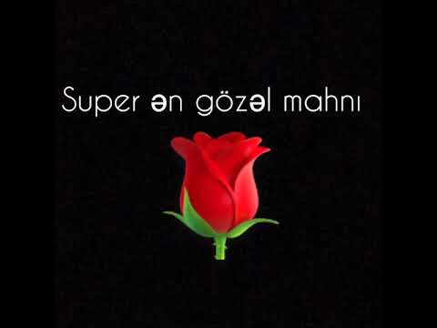 Cenubi Azerbaycan New Trend 2019