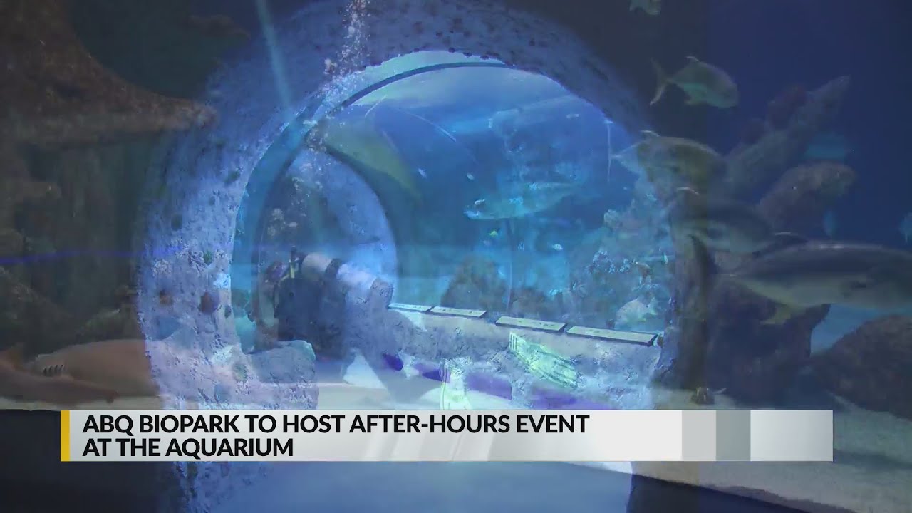 ABQ Biopark hosting after-hours event at the aquarium - YouTube
