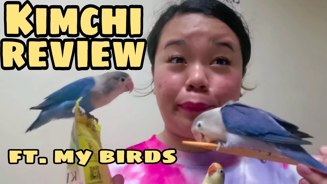 Kimchi review from Dali ft. my birds😂🐦 - YouTube