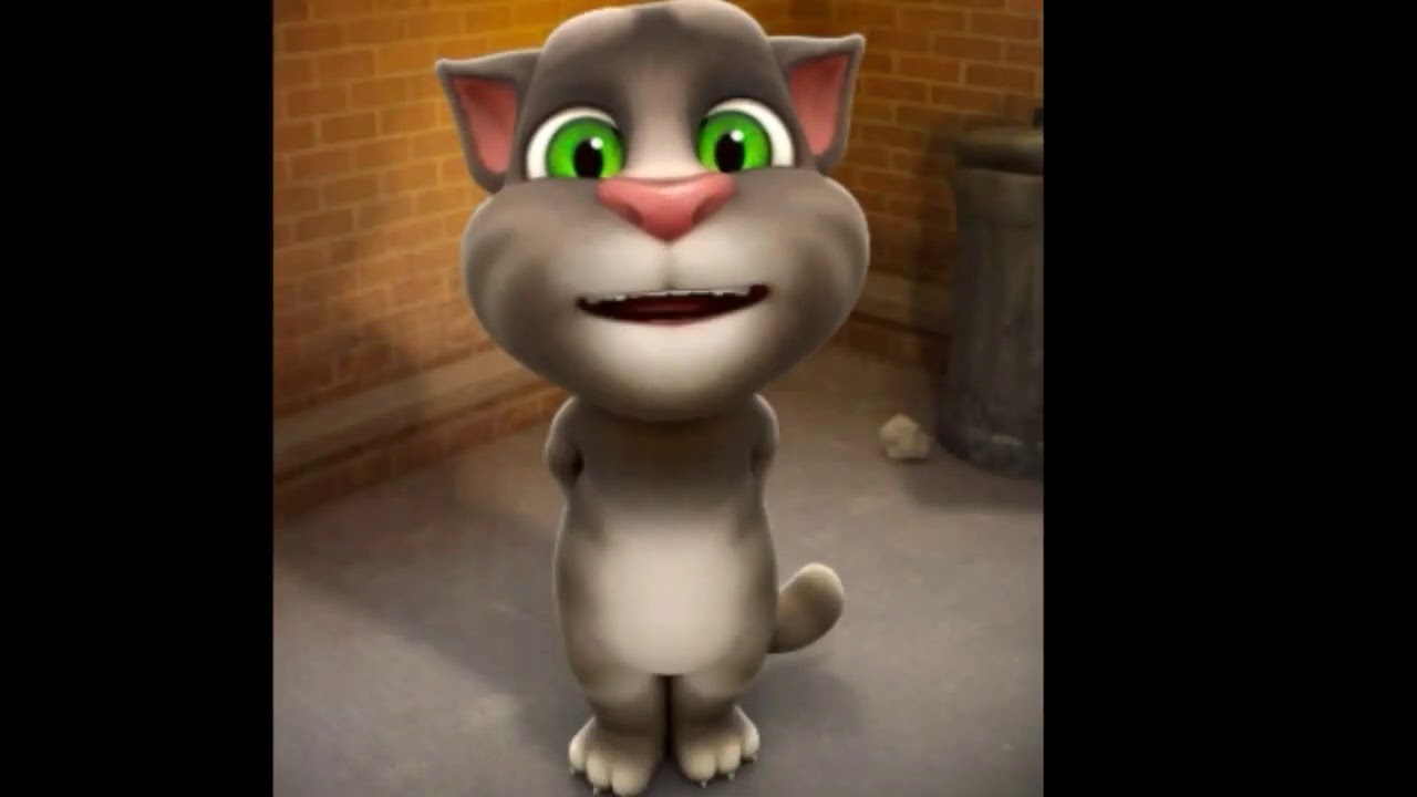 talking tom good morning. - YouTube