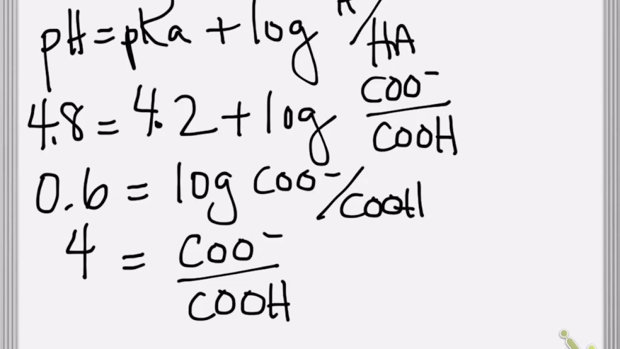 Using the HH equation to calculate partial charges on amino acids - YouTube