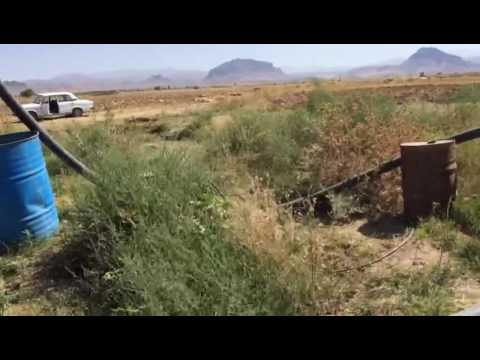 SON ÇARE. Yarımca kendi