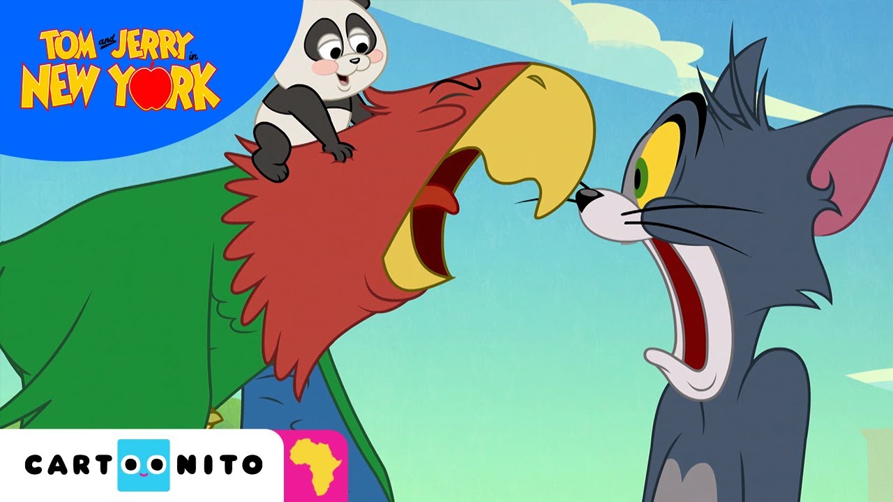 Mischiefs in New York City | Tom & Jerry in New York | Cartoonito ...
