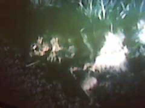 Strange Crypto Creature Next to Skinwalker Ranch - YouTube