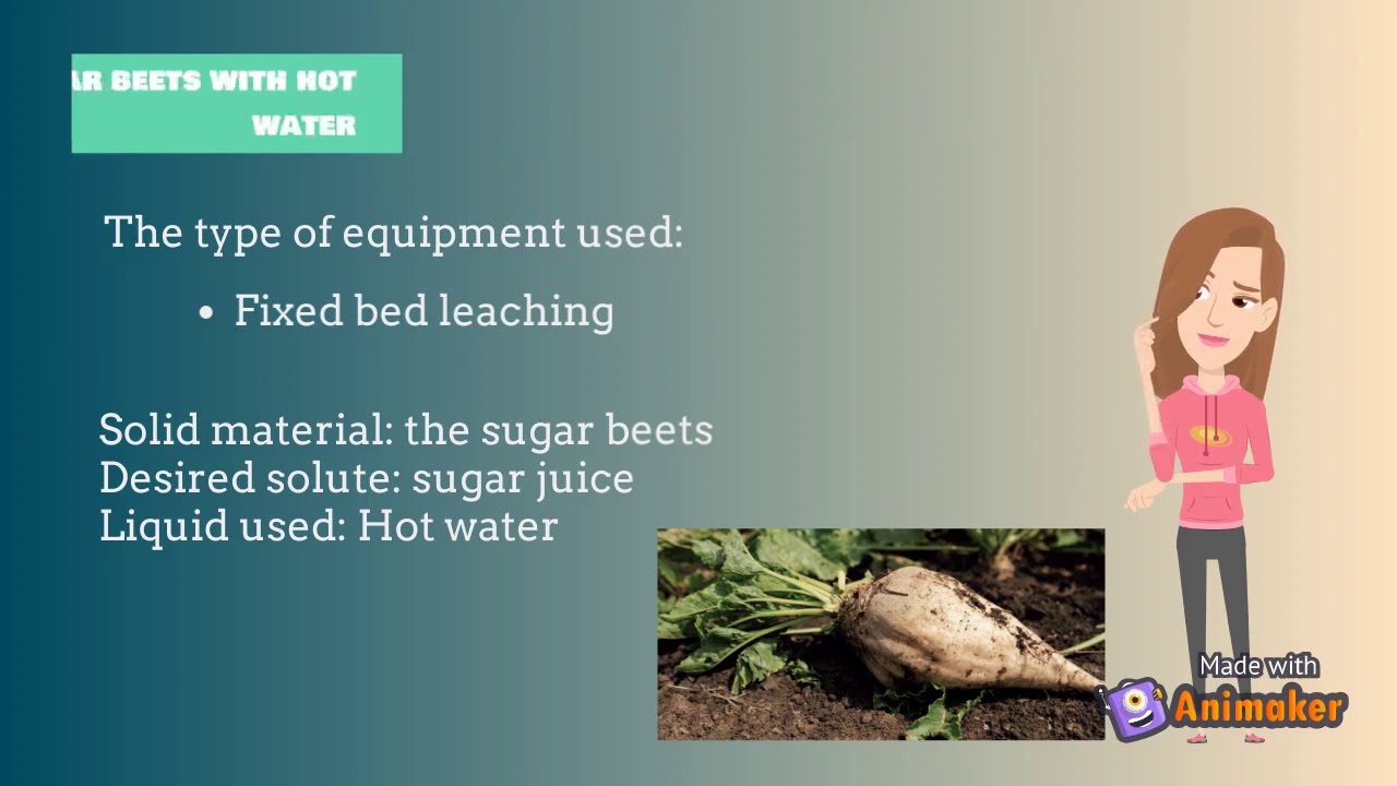 Solid Liquid Extraction (Leaching) - YouTube