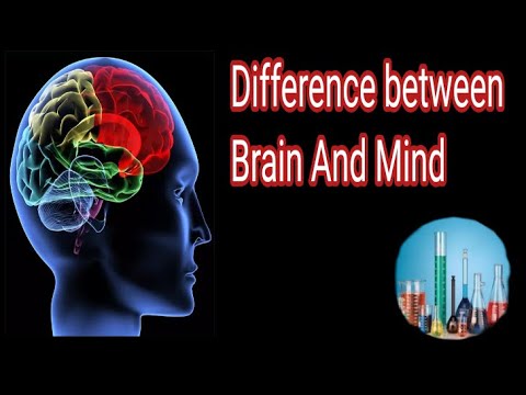Difference between brain and mind|| How do they work?|| What type of ...