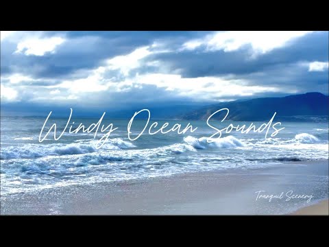 Pacific Ocean Windy Sounds 6Hours | Deep Sleep White Noise Sea Wave ...