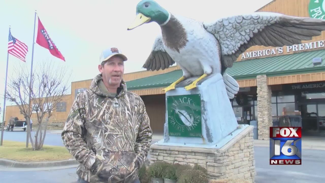Arkansas duck population hits record low in slow hunting season - YouTube