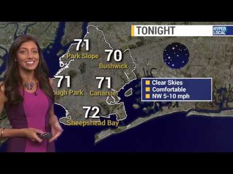 News 12 Brooklyn NY Forecast - YouTube