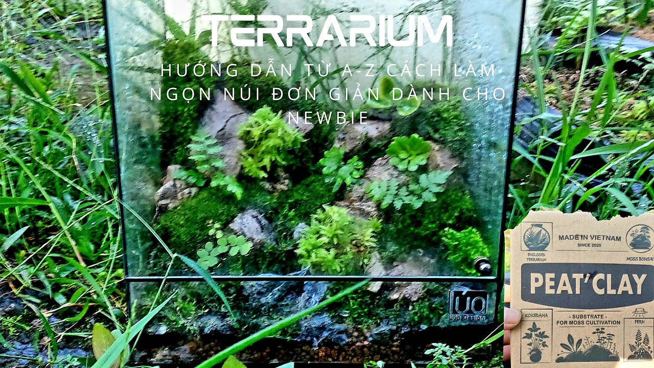 Chia sẽ cách làm Terrarium chi tiết dành cho người mới - How to make ...