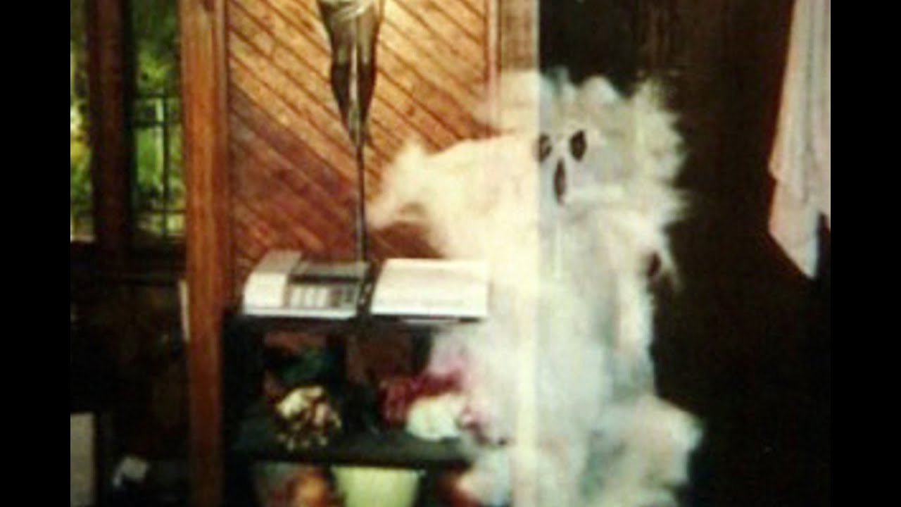 5 Unexplained Paranormal Photos To Give You The Creeps - YouTube