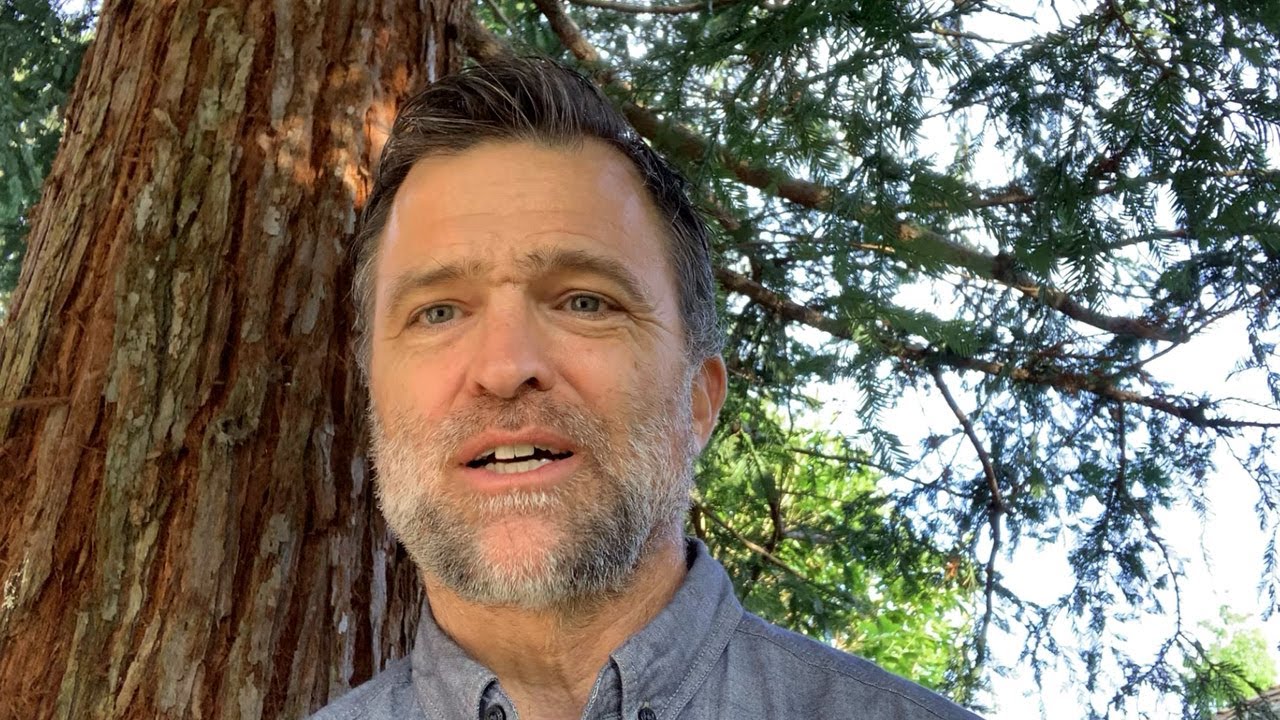 COVID-19 update from Sam Hodder - YouTube