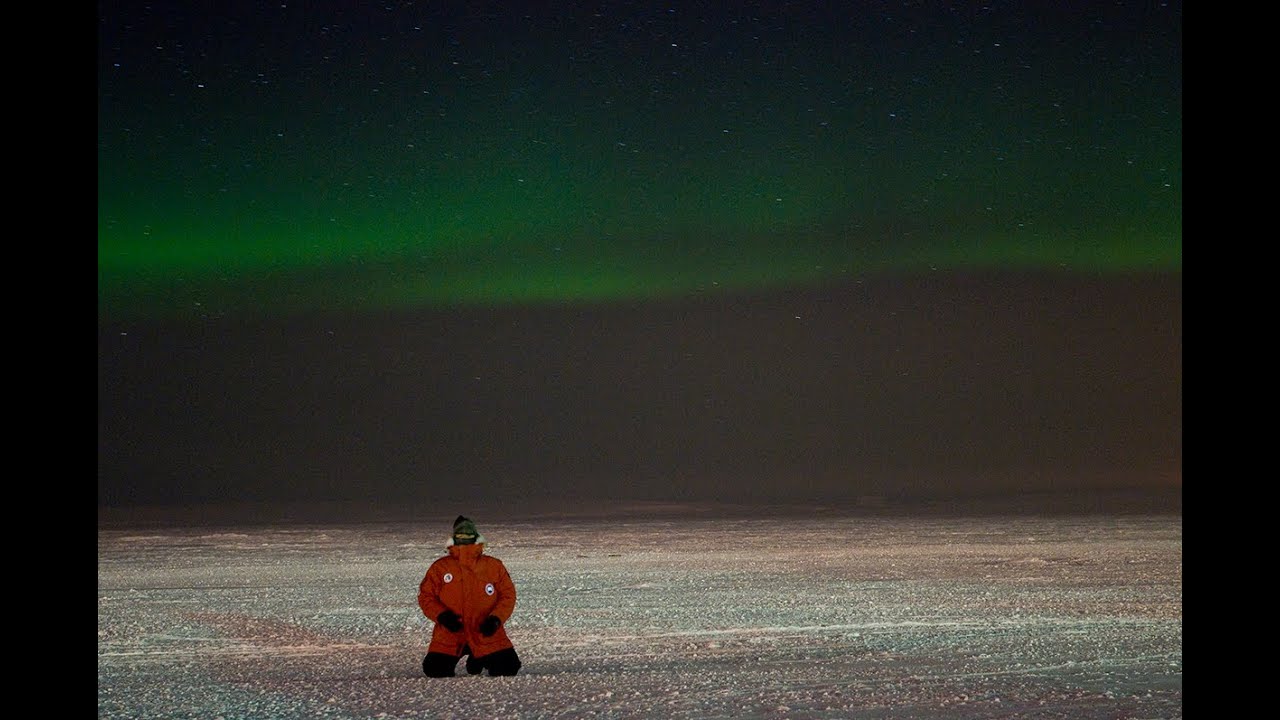 Arctic Talk Show - Director of Arctic Programs (Northern Spotlights ...