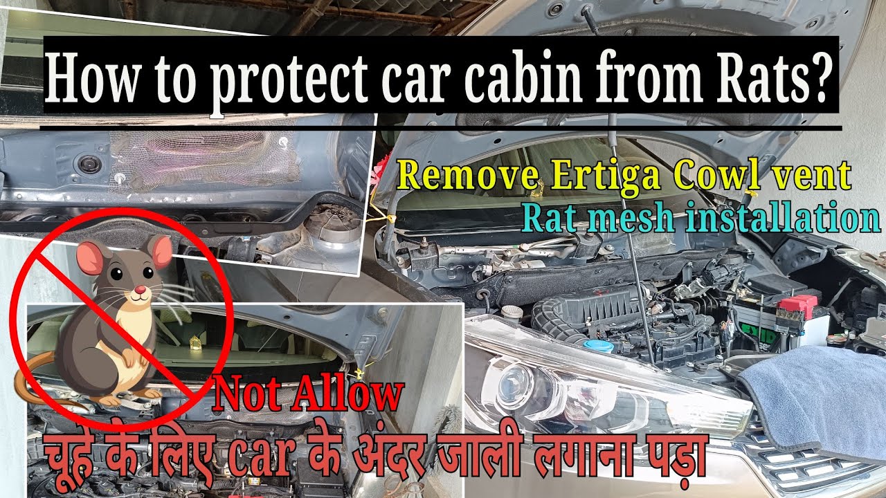 How to Protect car Cabin from Rats?🐀 Ertiga me Rat mesh install Rat problem Maruti Suzuki Ertiga ...
