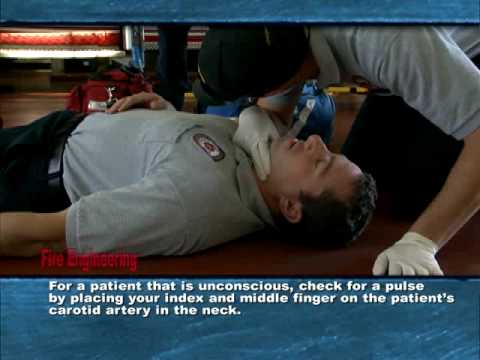 ch 26 checking for circulation - YouTube